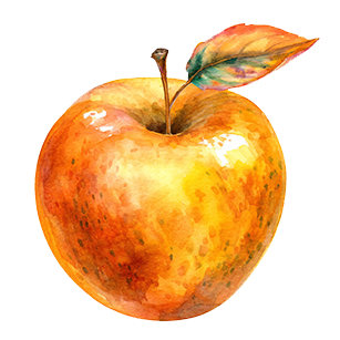 Sorbus Copper Kettle - Rowan Tree | Mail Order Trees